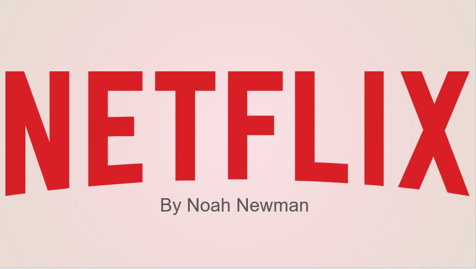 Portfolio: Netflix Social Media Analysis