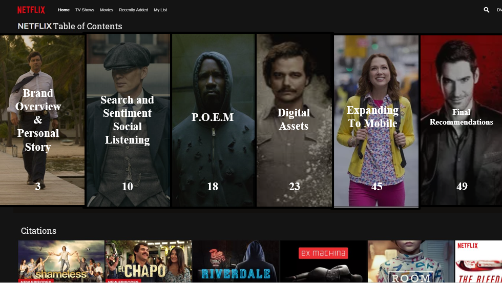Portfolio: Netflix Social Media Analysis