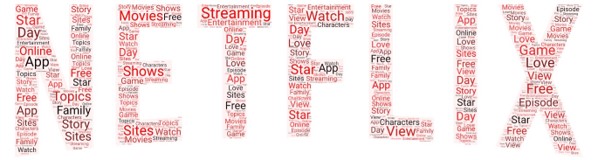 Portfolio: Netflix Social Media Analysis